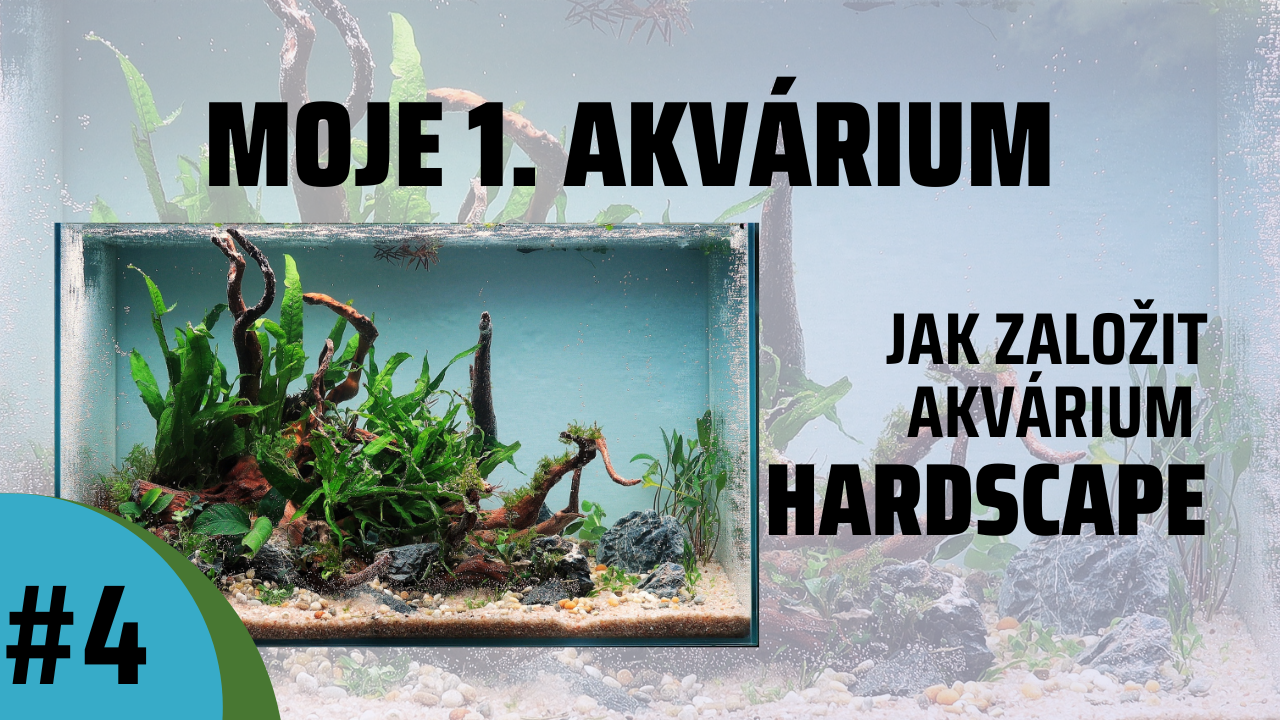 Jak založit akvárium - Dno a Dekorace